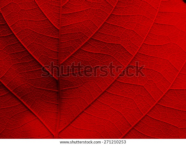 fondo de textura de hoja roja