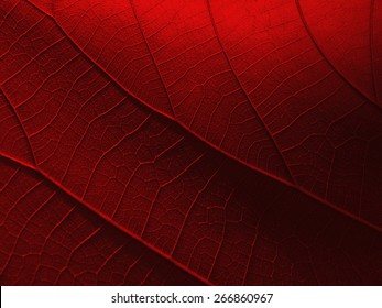 35,363 Red maple leaf black background Images, Stock Photos & Vectors ...