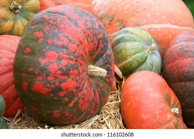 Red Pumpkins Stock Photo 116102608 | Shutterstock