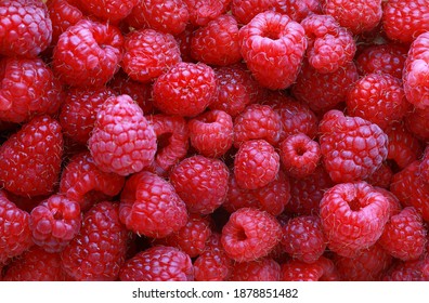 202 Serbian Raspberry Images, Stock Photos & Vectors | Shutterstock