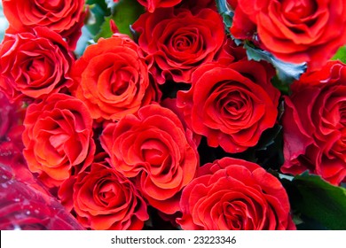 Red Roses Background Stock Photo 23223346 | Shutterstock