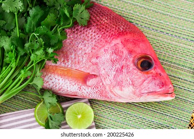 Red Snapper Fish Stock Photo 200225426 | Shutterstock