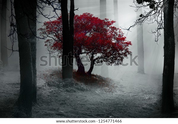 Red Tree Forest Stock Photo (Edit Now) 1254771466