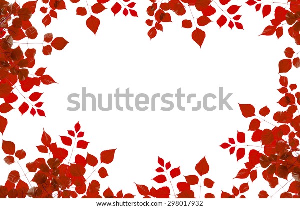 Red Tree Leaf Frame On White Stock Photo (Edit Now) 298017932
