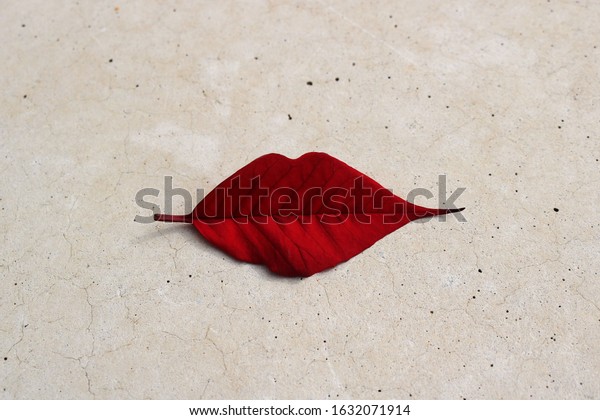 Tree lips : 47 775 images, photos et images vectorielles de stock ...