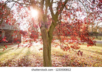 127 Grantham landscape Images, Stock Photos & Vectors | Shutterstock