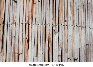 Reed Texture Close Stock Photo 404404489 | Shutterstock