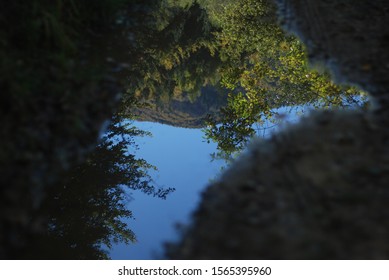 411 Upside down puddle Images, Stock Photos & Vectors | Shutterstock