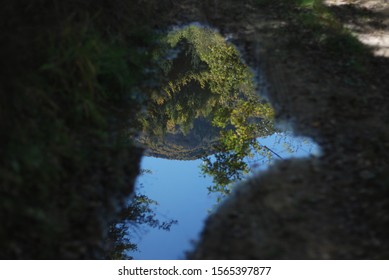 411 Upside down puddle Images, Stock Photos & Vectors | Shutterstock
