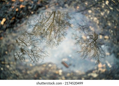 411 Upside down puddle Images, Stock Photos & Vectors | Shutterstock