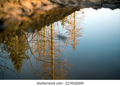 411 Upside down puddle Images, Stock Photos & Vectors | Shutterstock
