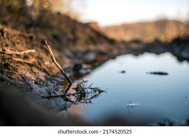 411 Upside down puddle Images, Stock Photos & Vectors | Shutterstock
