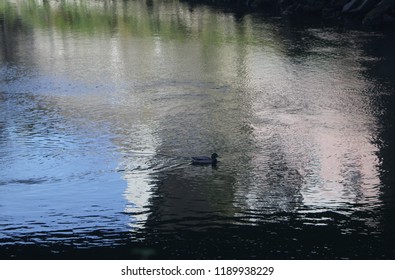 Reflection River Stock Photo 1189938229 | Shutterstock