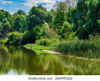 14,013 imágenes de Bosques con rios - Imágenes, fotos y vectores de ...