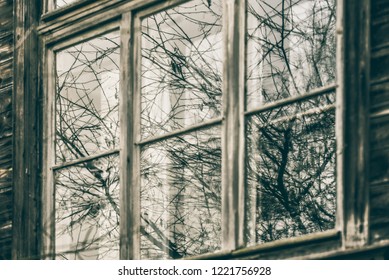 Reflection Trees Without Leaves Window Building Stock Photo 1221756928 ...