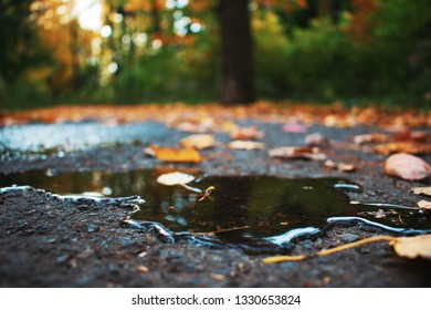 Reflective Puddle On Path Fall Stock Photo (Edit Now) 1330653824