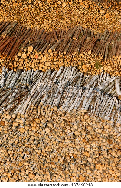Renewable Resource Raw Timber Materials Ready Stock Photo 137660918 ...