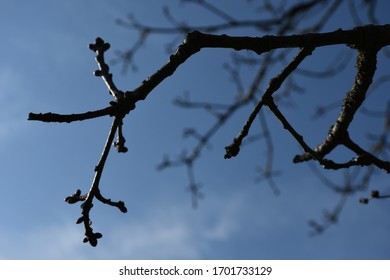 JeanKelly: портфолио стоковых фотографий и изображений | Shutterstock