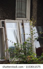 Replace Those Old Windows Stock Photo 1153011575 | Shutterstock