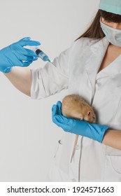 1,276 Injection in mouse Images, Stock Photos & Vectors | Shutterstock