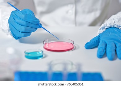 466 Inoculating loop Images, Stock Photos & Vectors | Shutterstock