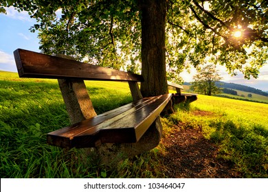 25,024 Rest Under A Tree Images, Stock Photos & Vectors | Shutterstock