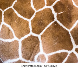 Stock Photo and Image Portfolio by William Janes | Shutterstock