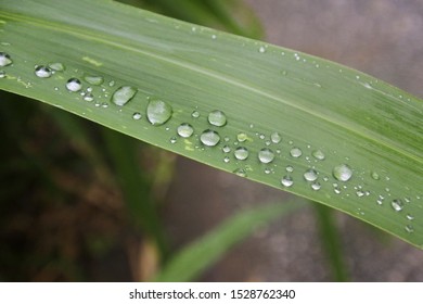 475 Rian drop Images, Stock Photos & Vectors | Shutterstock