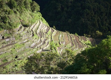 3,360 Batad village Images, Stock Photos & Vectors | Shutterstock