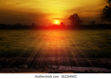 5,493 Rising sun effect Images, Stock Photos & Vectors | Shutterstock