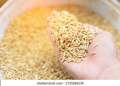 7,320 Rice Mill Stock Photos, Images & Photography | Shutterstock