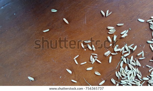 Rice Paddy Table Stock Photo 756365737 | Shutterstock