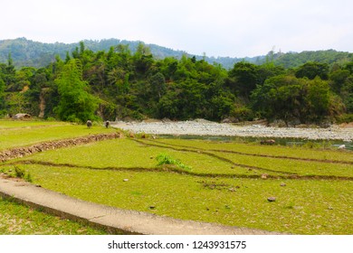 1,249 Rice Patch Images, Stock Photos & Vectors | Shutterstock