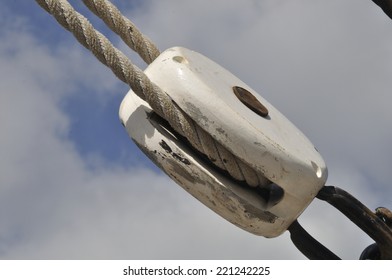 95 Wedding rig 이미지, 스톡 사진 및 벡터 | Shutterstock