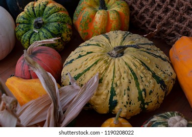 Ripe Yellow Pumpkin Bumpy Surface Green Stock Photo 1190208022 ...