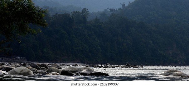 24,190 Desolate Forest Images, Stock Photos & Vectors | Shutterstock