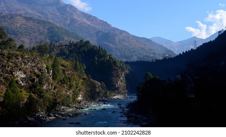 24,190 Desolate Forest Images, Stock Photos & Vectors | Shutterstock
