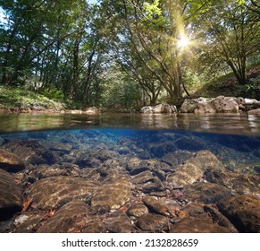7,506 Splitting rivers Images, Stock Photos & Vectors | Shutterstock