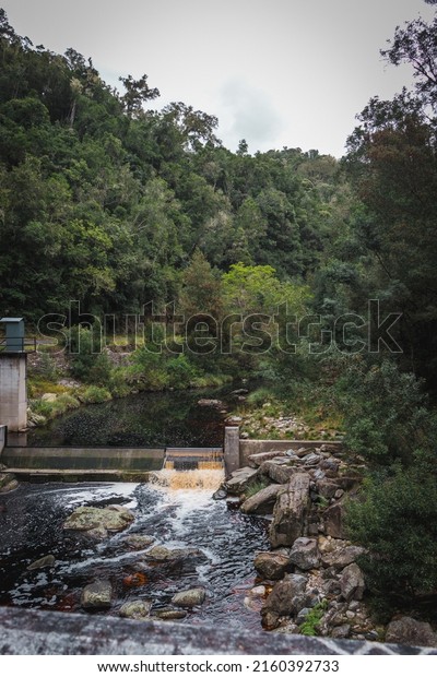 River Running Through Indigenous Forest Eastern Stock Photo 2160392733 ...