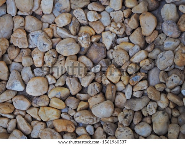 River Stone Texture Background Stock Photo 1561960537 | Shutterstock