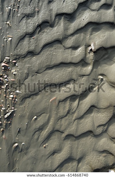 Riverbed Mud Stock Photo 614868740 | Shutterstock