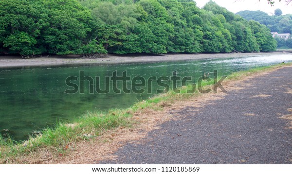 Rivers Edge Textures Stock Photo 1120185869 | Shutterstock