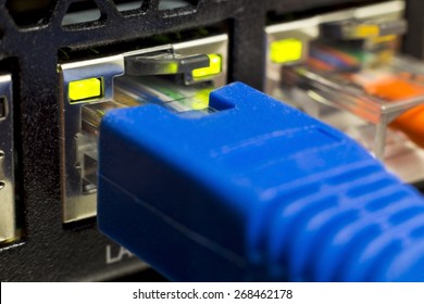 Rj45 Lan Cable Connected Switch Soft Stock Photo 268462178 | Shutterstock