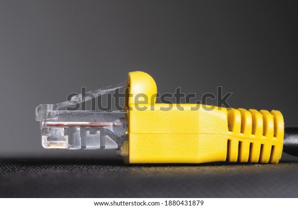 Rj45 Network Plug Closeup On Gray Stock Photo 1880431879 | Shutterstock