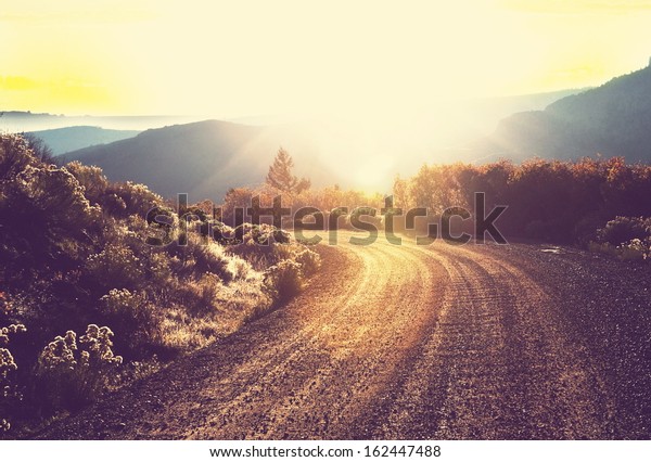 Photo de stock route en forêt 162447488 | Shutterstock