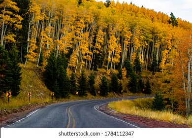 491 Aspen trees new mexico Images, Stock Photos & Vectors | Shutterstock