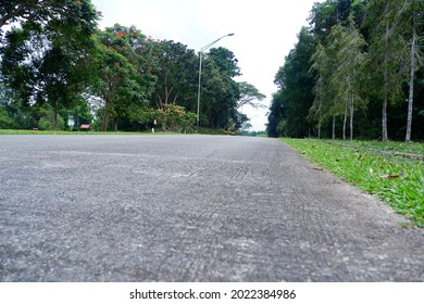Road Scratch Between Forest Stock Photo 2022384986 | Shutterstock