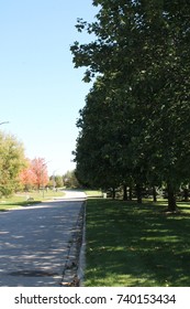Road Tree Pathway Stock Photo 740153434 | Shutterstock