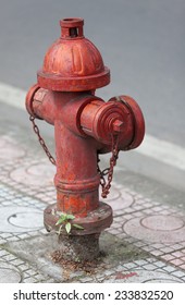 Roadside Fire Hydrant Stock Photo 233832520 | Shutterstock
