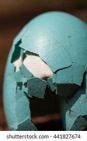 883 Robin's Eggs Images, Stock Photos & Vectors | Shutterstock